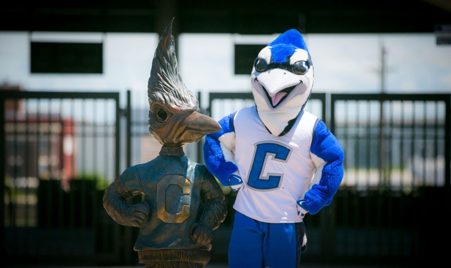 How Billy the Bluejay came to life – Creightonian