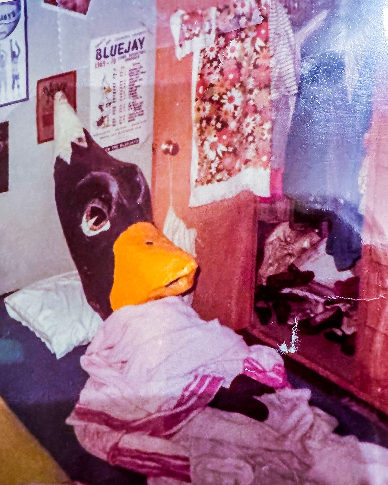 How Billy the Bluejay came to life – Creightonian