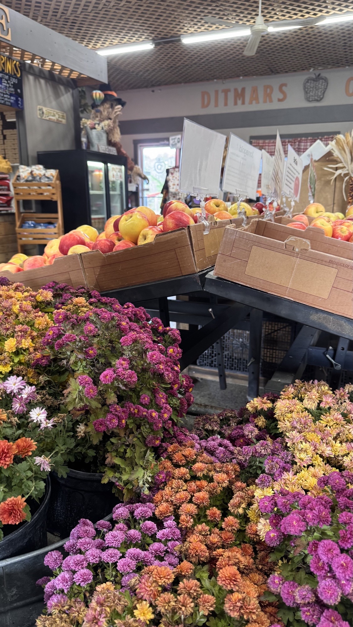 Iowa orchard embraces autumn – Creightonian